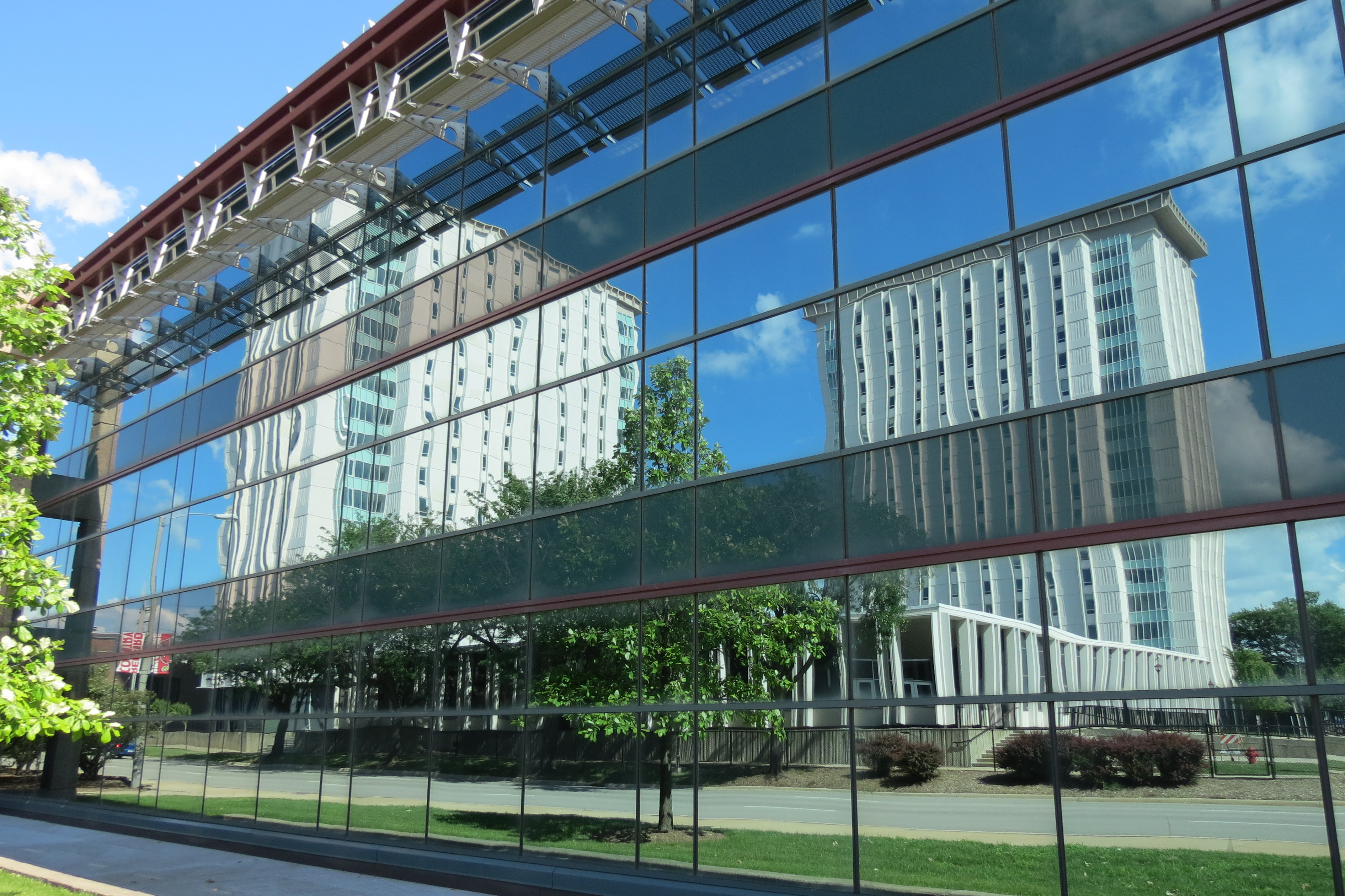 School of Biological Sciences | Illinois State University